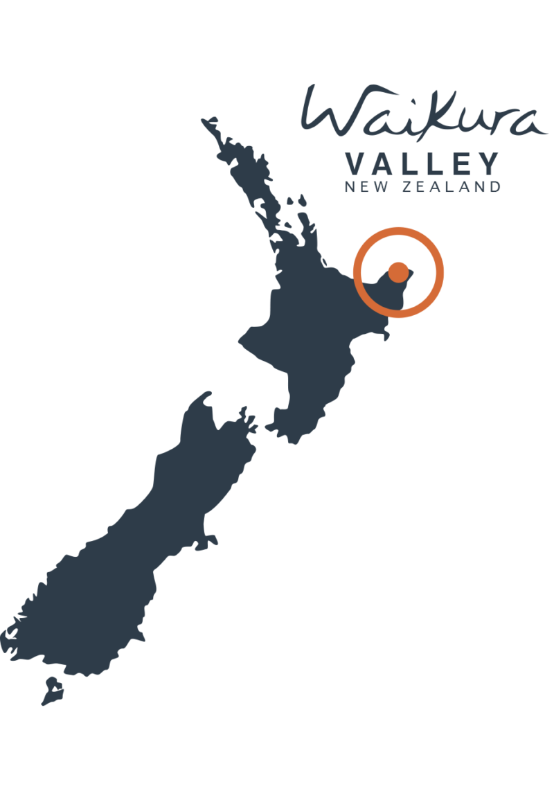 Manuka-Pflanze - Waikura Manuka